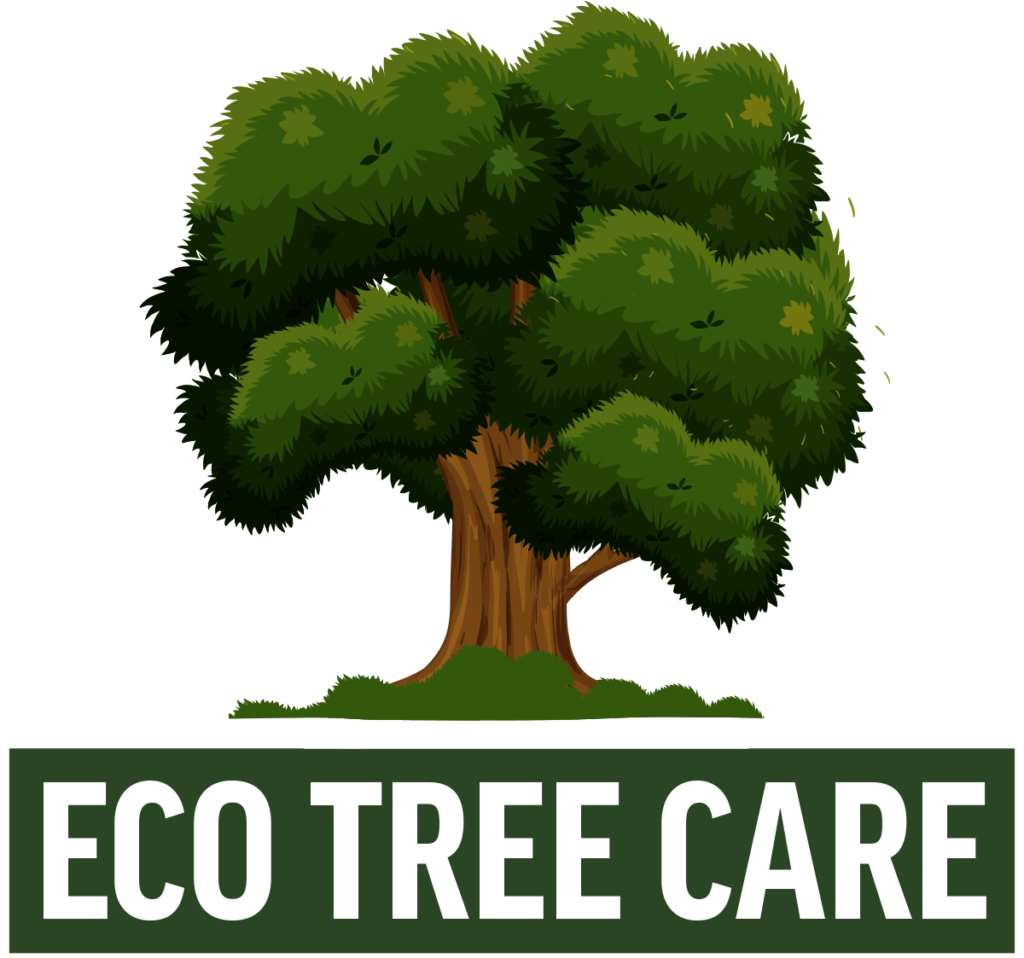 Tree Surgeon Horsham | Eco Tree care | Tree Surgery Specialist